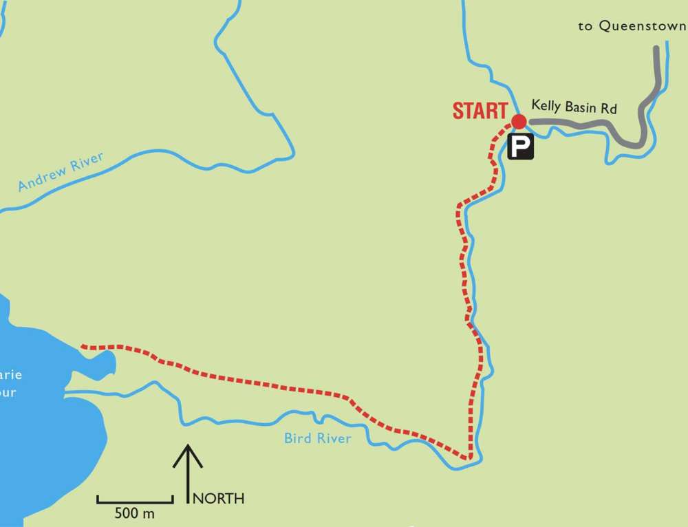 Dove Lake Circuit: Walks, Hiking & Tracks - Self Guided Bushwalks in TAS