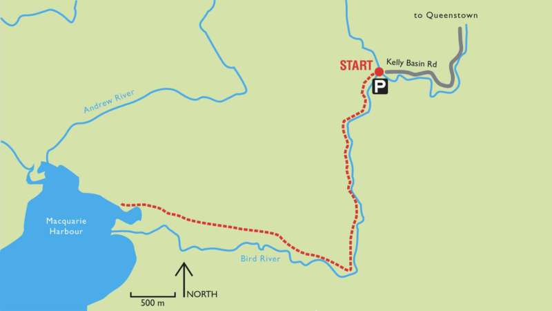 Kelly Basin: Walks, Hiking & Tracks - Self Guided Bushwalking in Tasmania