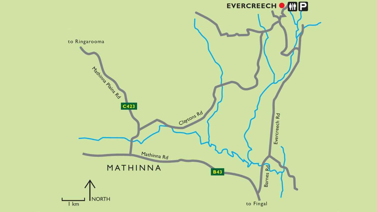 Evercreech: Evercreech & Mathinna Falls Forest Reserve in Tassie (AU)