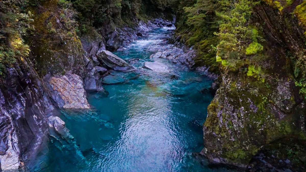 Makarora : Air Charters, Jet Boating, Mountaineering, Fishing & Hunting