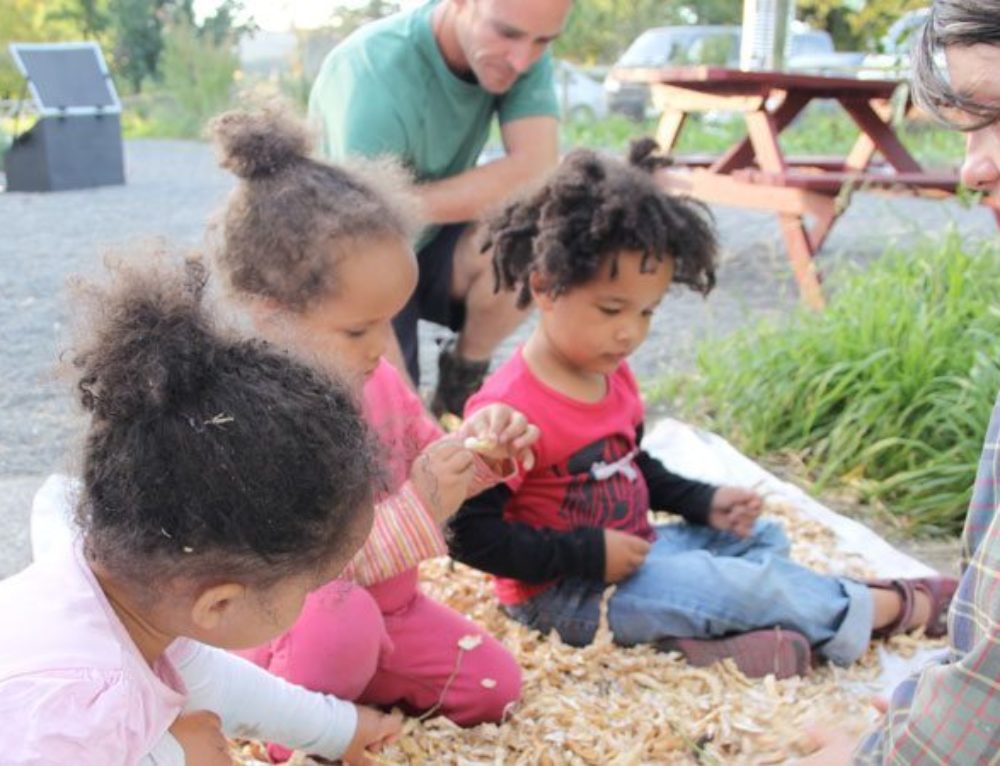 NZ Curriculum Achievement Levels - Key Competencies and Objectives