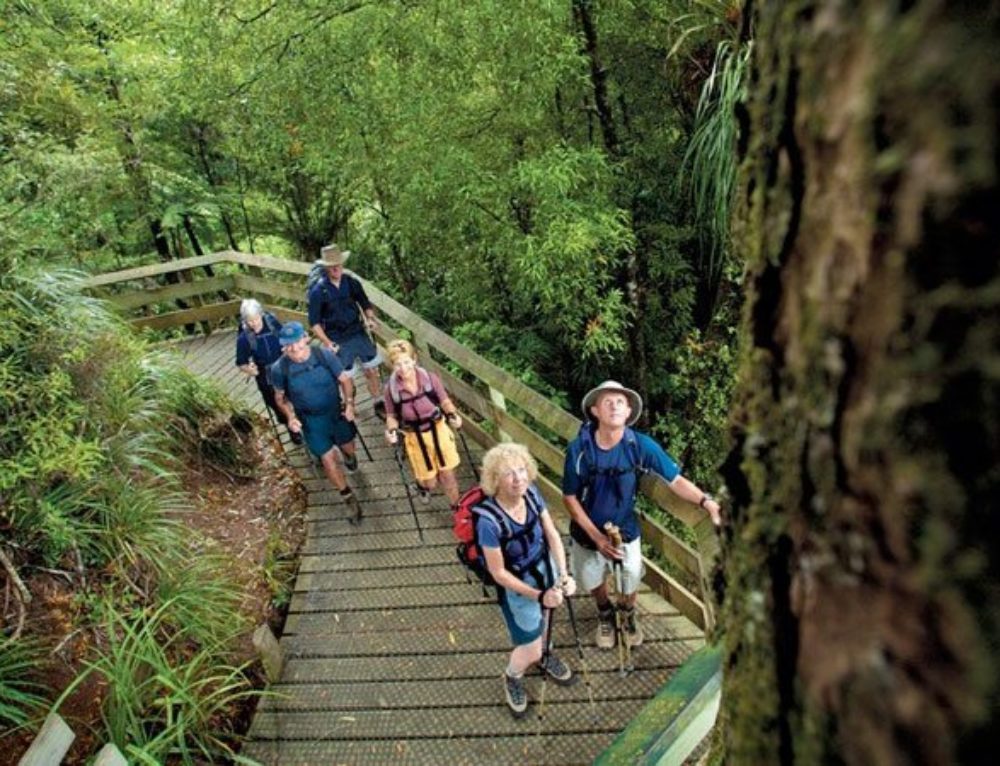 New Zealand Forest Parks - Forest Parks Names in New Zealand
