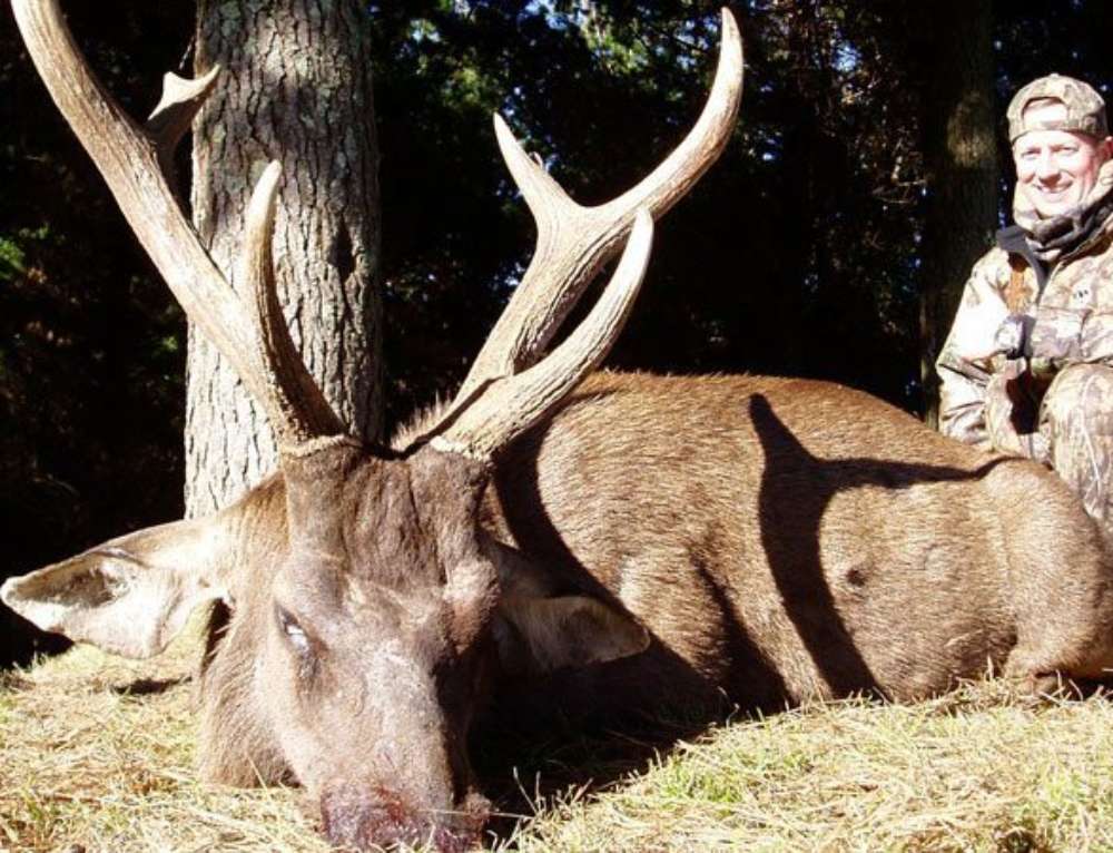 Nelson : DANNY : DE HEK