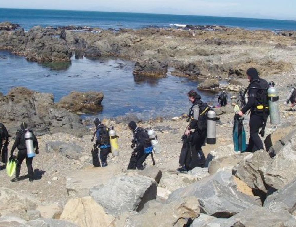 New Zealand's Best Scuba Diving Location - Spots to Dive NZ : DANNY ...