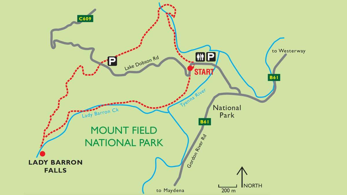 Lady Barron Falls Circuit: (Mount Field National Park) World Heritage Sites