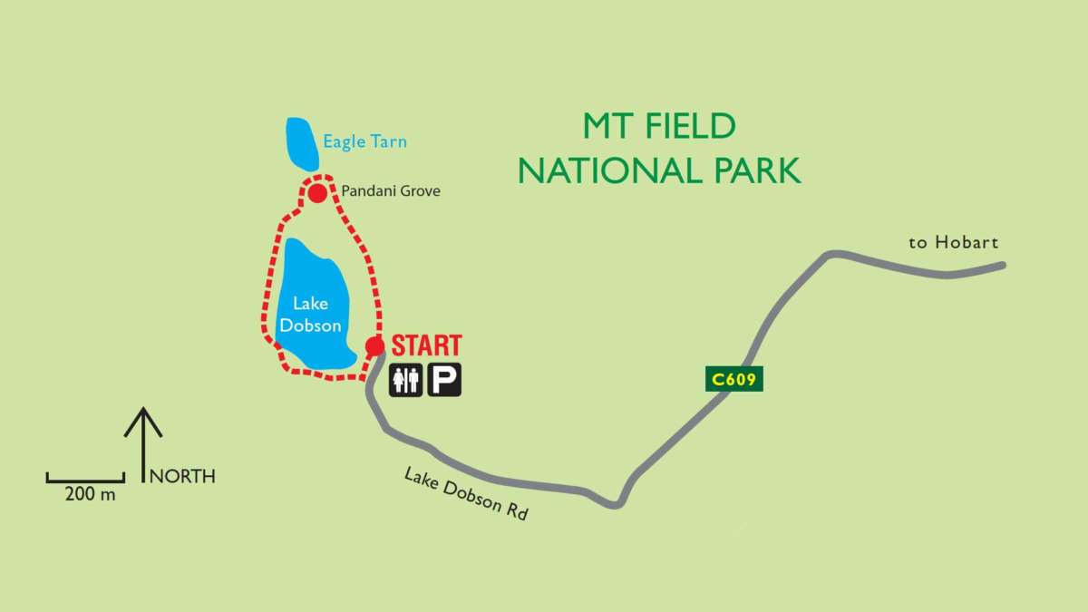 Pandani Grove Nature Walk: Mount Field National Park - Service Tasmania