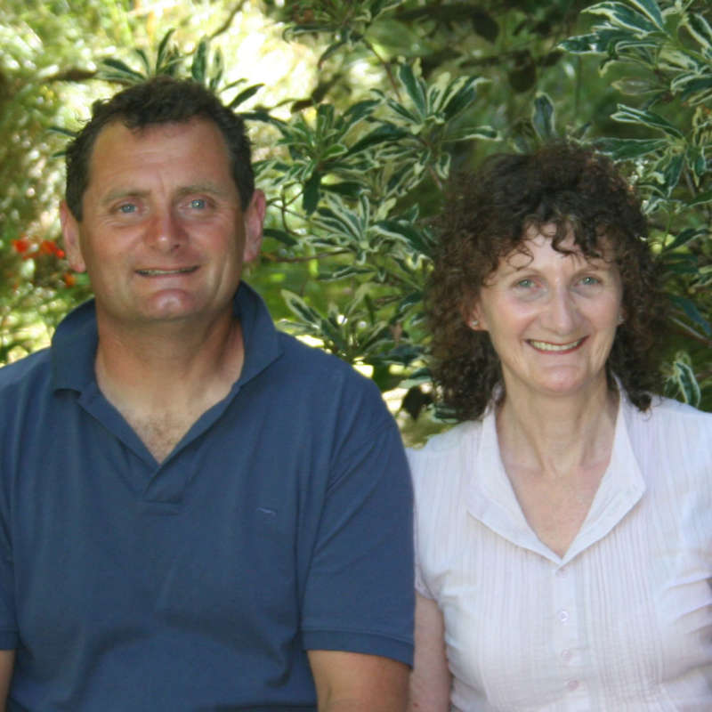 Escaping Suicide and Shunning by the Jehovah’s Witness Cult : DANNY ...