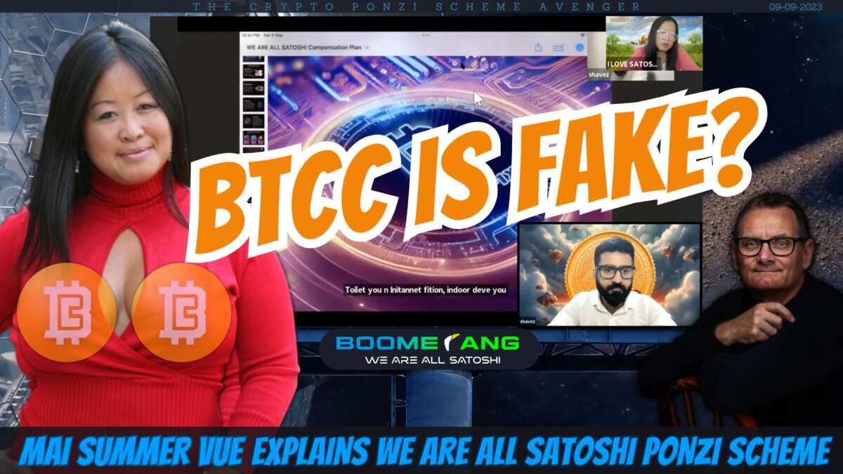 Satirist Scam Fighter aka The Crypto Ponzi Scheme Avenger